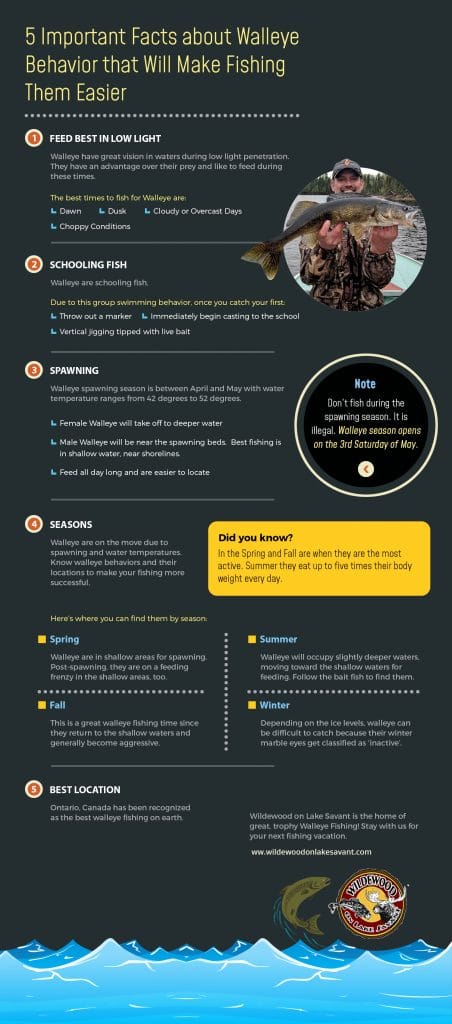 5 Important Facts about Walleye Behavior that Will Make Fishing Them ...